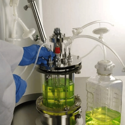 Cultivating Microalgae: Bioreactor Design for Efficient Production - Turbo